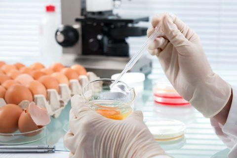 The Eurovo Group is the European market leader in eggs and egg products.