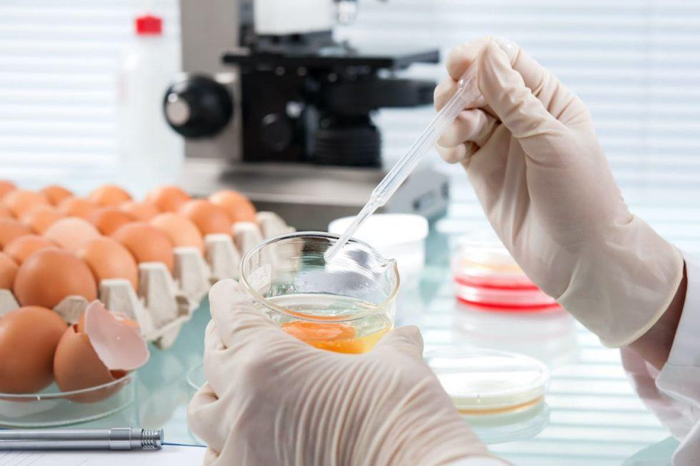 The Eurovo Group is the European market leader in eggs and egg products.