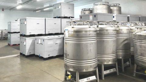 LIOT, The best in eggs since 1960